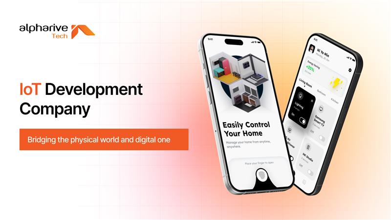 Content Management System Development Company